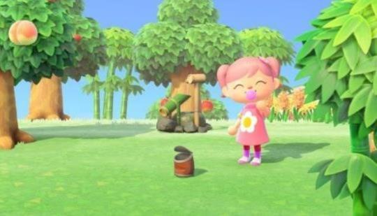 How to Catch a Fly (Animal Crossing: New Horizons Guide) | N4G